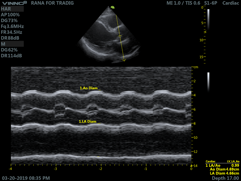 VINNO 8 | MEDtechnic services s.r.o.